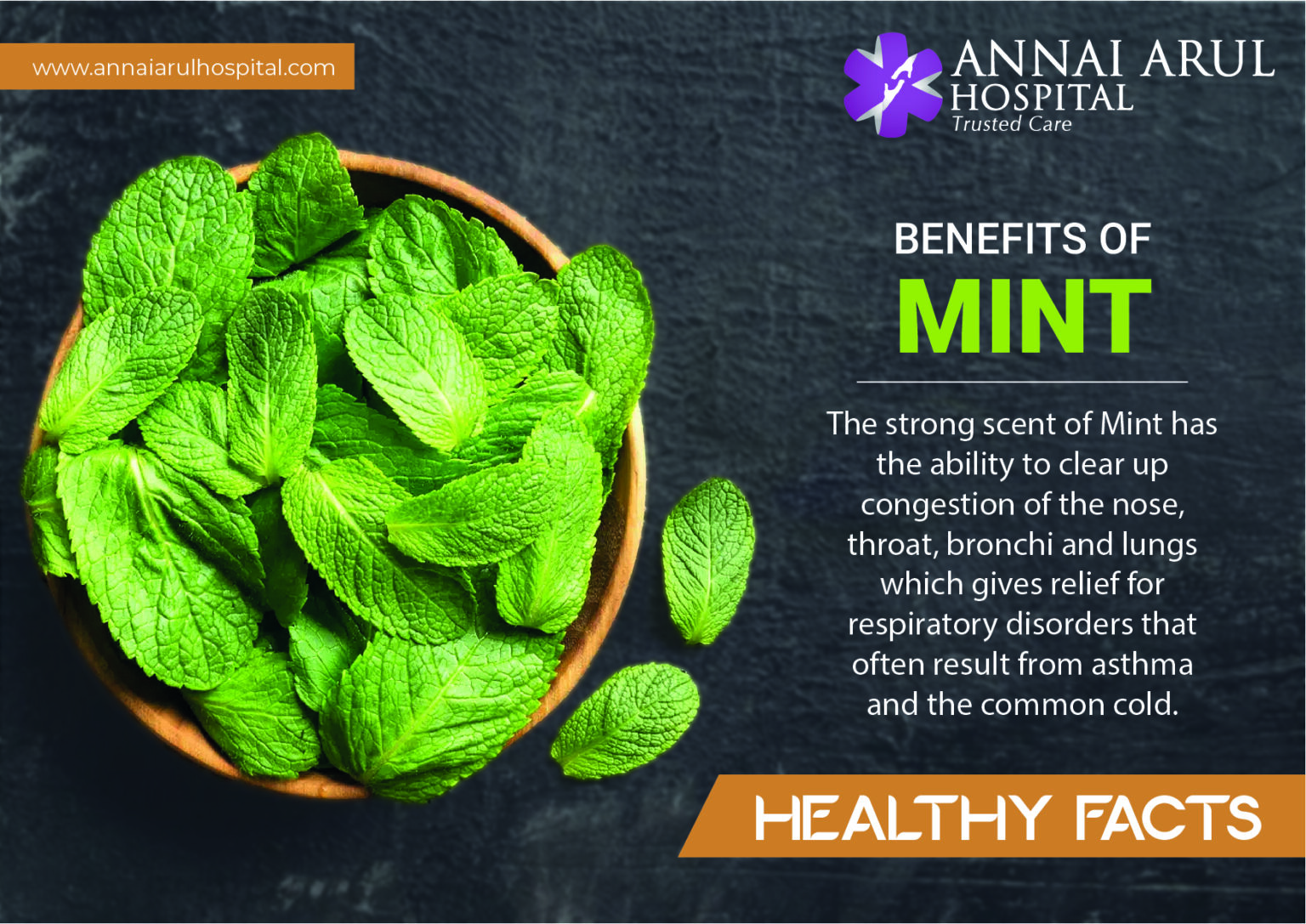 Benefits of Mint – Multispeciality Hospitals in Chennai
